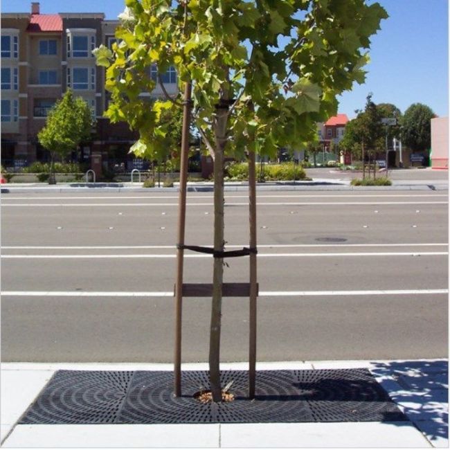 Tree Grates | Rectangular tree grates | Recycled Plastic Tree Grates ...